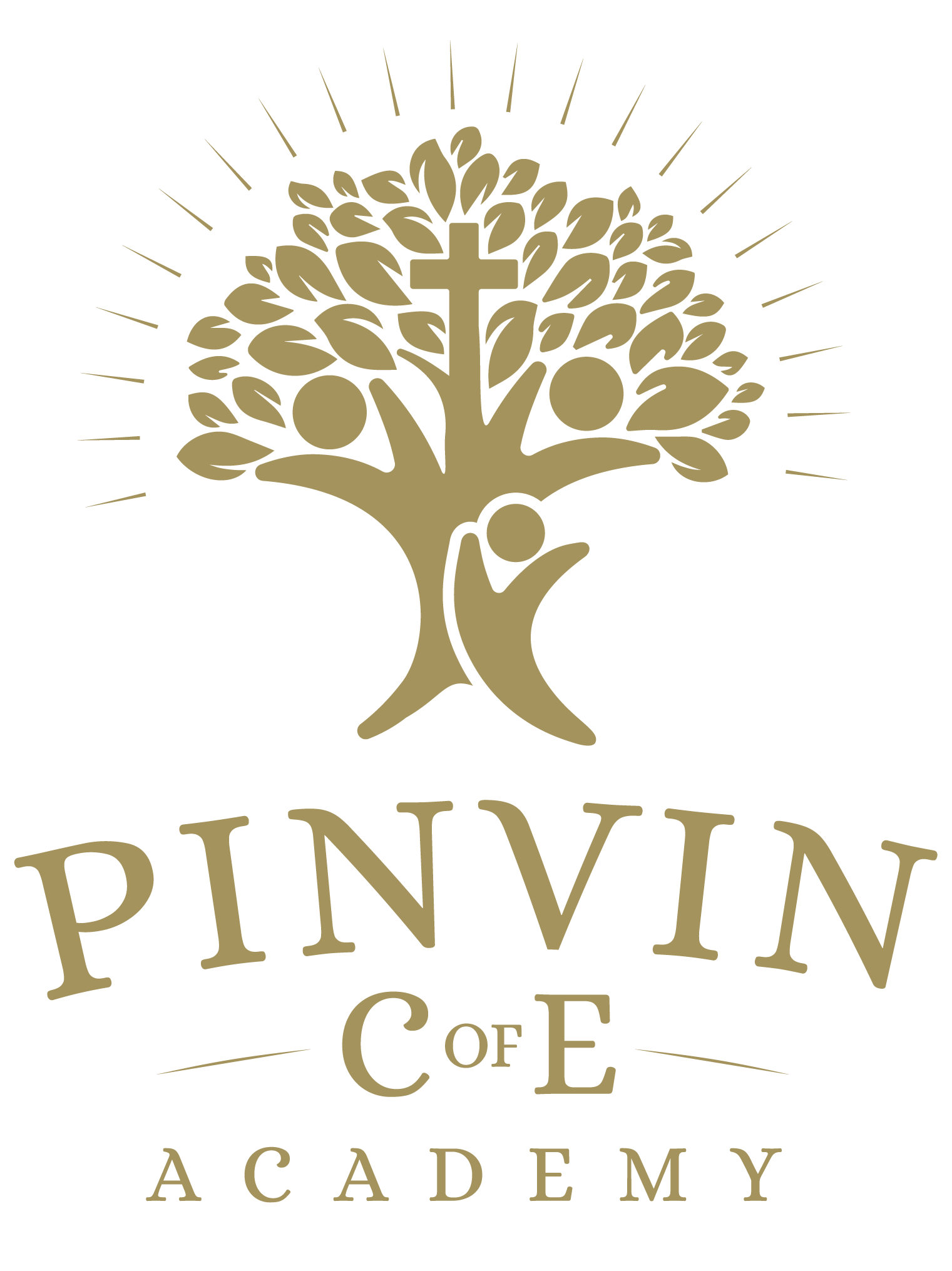 pinvin-academy-logo-gold - The School Shop UK